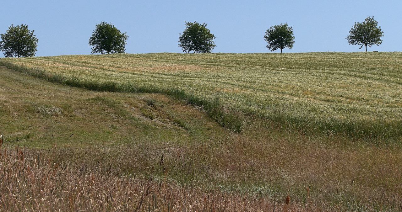 Vendre un terrain : quelles sont les démarches à suivre